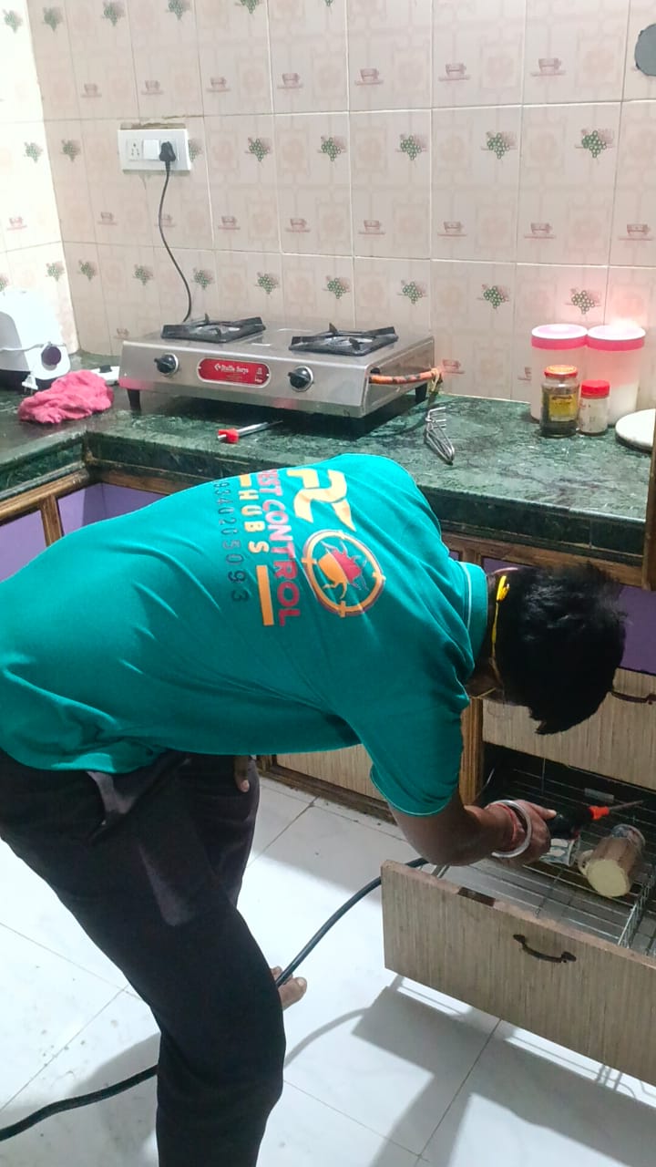 Pest Control Hubs - Best Pest Control Services in India